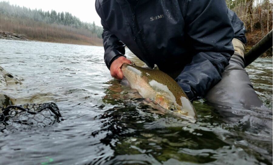 Home - R & R Charters - R&R Fishing Charters - Anacortes, Washington